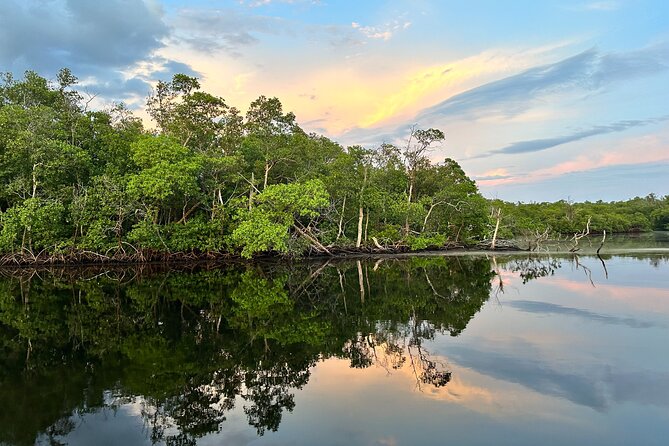 Mangrove and Gulf Excursion Tour - FAQ
