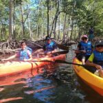 Mangrove Jungle Exploration on SUP/Kayak - Final Thoughts: Who Will Love This Tour?