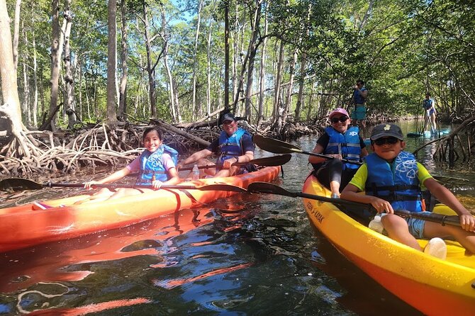 Mangrove Jungle Exploration on SUP/Kayak - Final Thoughts: Who Will Love This Tour?