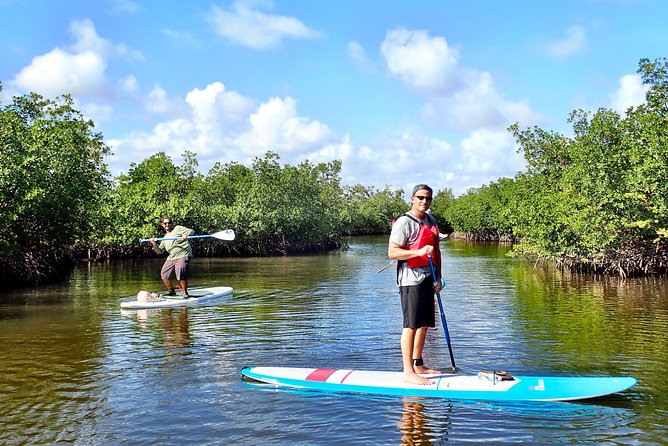 Mangrove SUP Safari - Introduction