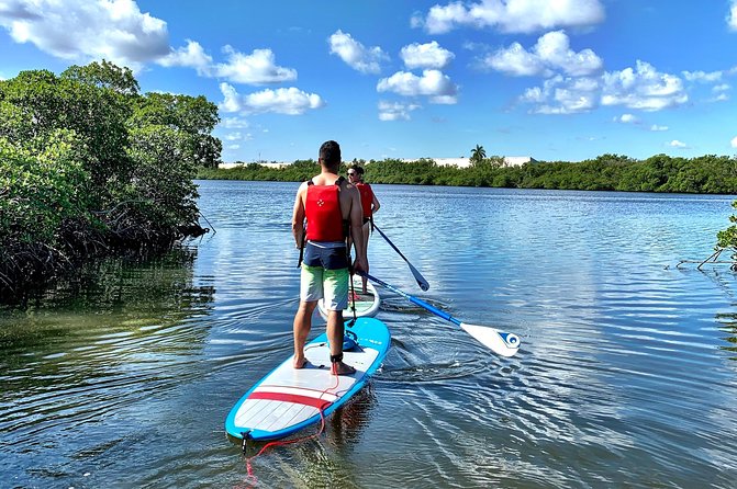 Mangrove SUP Safari - Practical Details