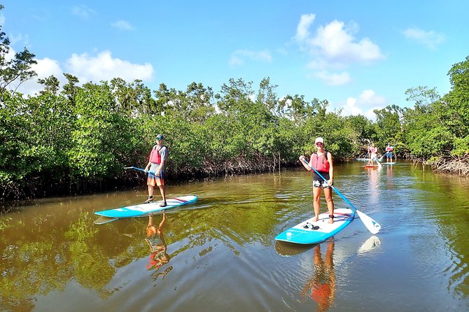 Mangrove SUP Safari - Who Would Enjoy This Tour?