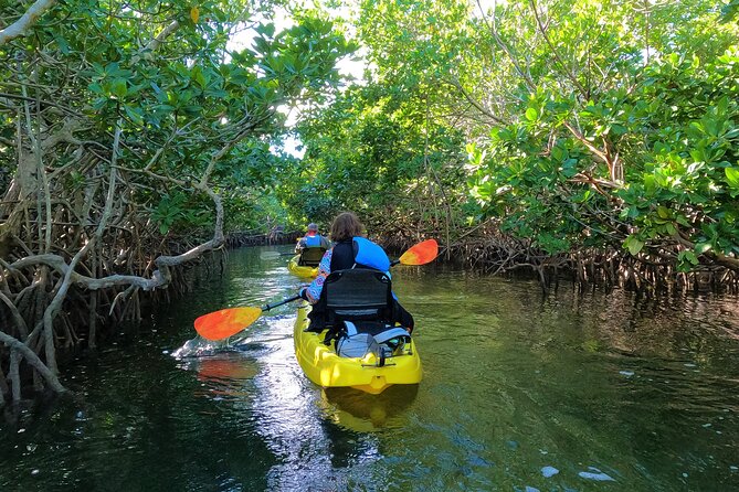Mangrove Tunnel Kayak Adventure in Key Largo - The Experience in Detail
