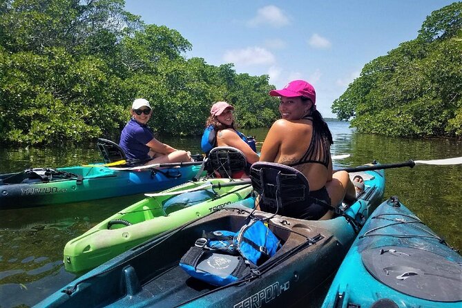 Mangrove Tunnel Kayak Adventure in Key Largo - Why This Tour Works