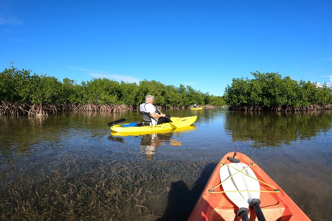 Mangrove Tunnel Kayak Adventure in Key Largo - Final Thoughts