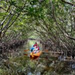 Mangrove Tunnel Kayak Eco Tour - Who Will Love This Tour?