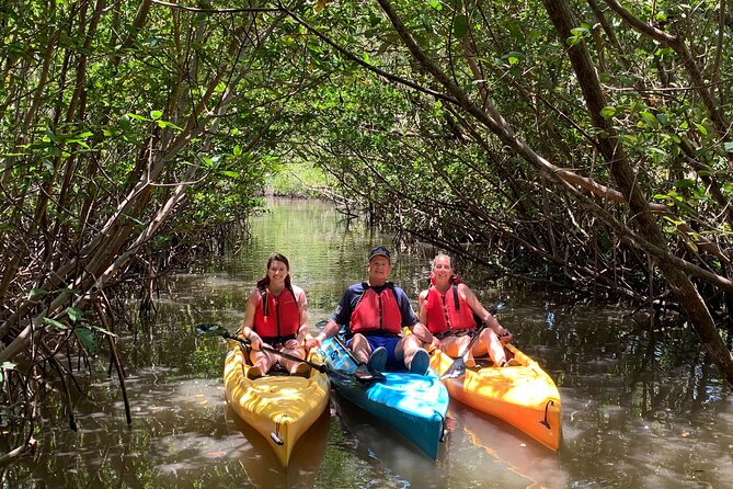 Mangrove Tunnel Kayak Eco Tour - Final Thoughts