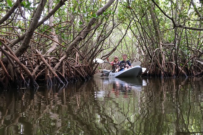 Mangrove Tunnels, Dolphins, Manatee Tour #1 Rated in Cocoa Beach - What Makes This Tour Stand Out