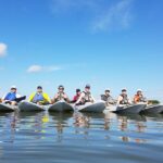 Mangrove Tunnels, Dolphins, Manatee Tour #1 Rated in Cocoa Beach - Who Will Love This Tour?
