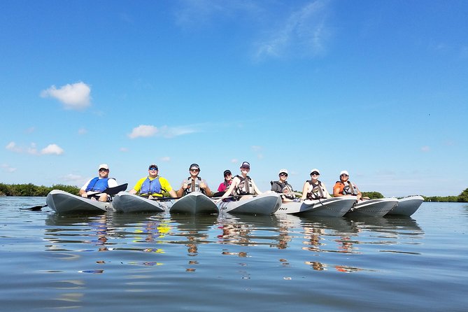 Mangrove Tunnels, Dolphins, Manatee Tour #1 Rated in Cocoa Beach - Who Will Love This Tour?
