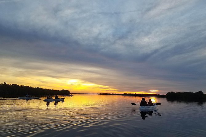 Mangrove Tunnels, Dolphins, Manatee Tour #1 Rated in Cocoa Beach - FAQ
