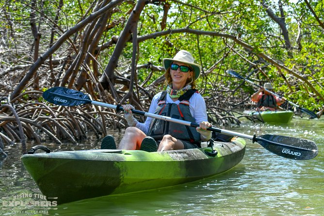 Mangrove Tunnels & Mudflats Kayak Tour - Local Biologist Guides - What Reviewers Loved Most