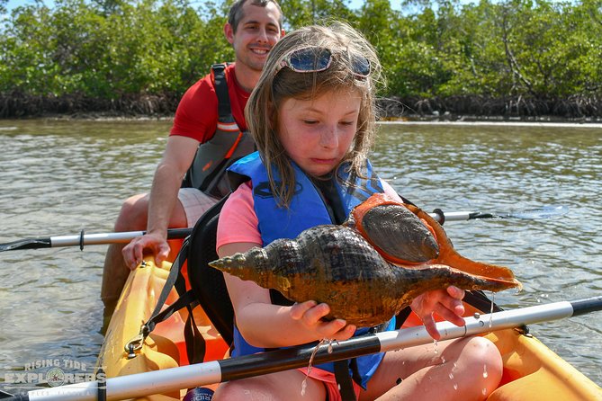 Mangrove Tunnels & Mudflats Kayak Tour - Local Biologist Guides - Who This Tour Is Perfect For