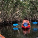 Mangrove Tunnels Pedal Kayak Eco-Tour in Anna Maria - Who Should Consider This Tour?