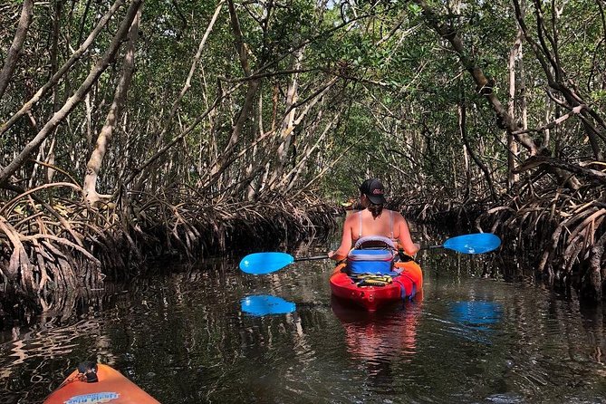 Mangrove Tunnels Pedal Kayak Eco-Tour in Anna Maria - Who Should Consider This Tour?
