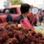Manhattan: Chinatown Food Tour with a Chef - Why This Tour Is a Great Choice