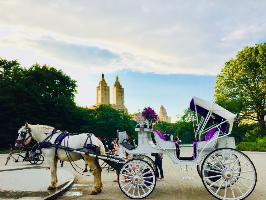 Manhattan: VIP Private Horse Carriage Ride in Central Park - Discovering Central Park from a Horse-Drawn Carriage