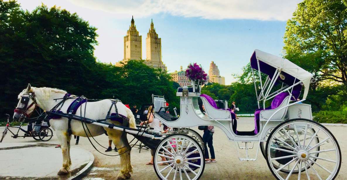 Manhattan: VIP Private Horse Carriage Ride in Central Park - Is It Worth the Price?