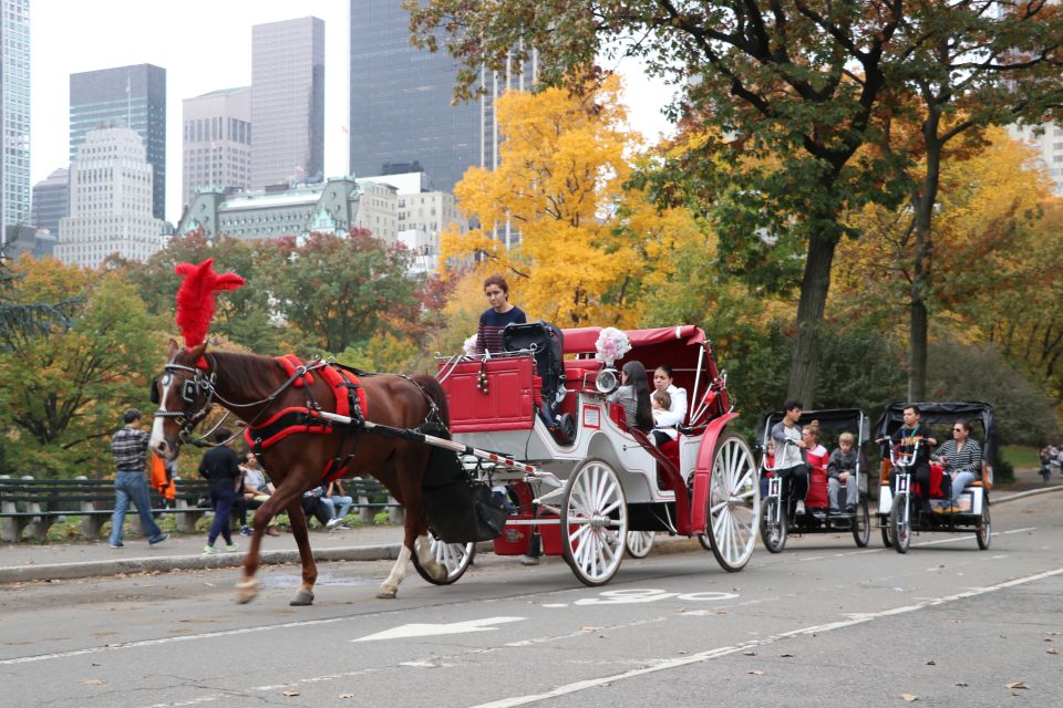 Manhattan: VIP Private Horse Carriage Ride in Central Park - Who Will Love This Tour?
