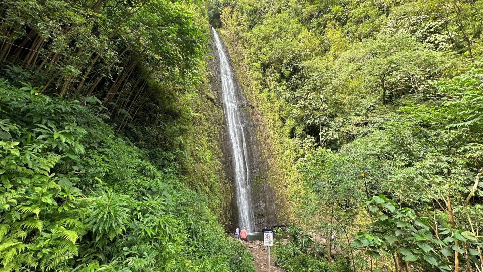 Manoa Falls eBike to Hike - Manoa Falls eBike to Hike: A Balanced Adventure through Hawaii’s Lush Landscape