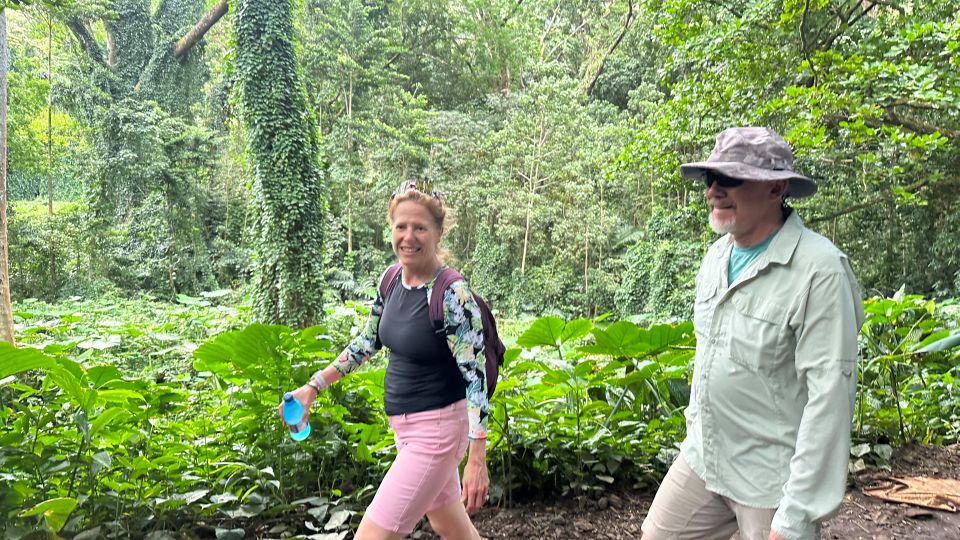 Manoa Falls eBike to Hike - The Real Value: Is It Worth the Cost?