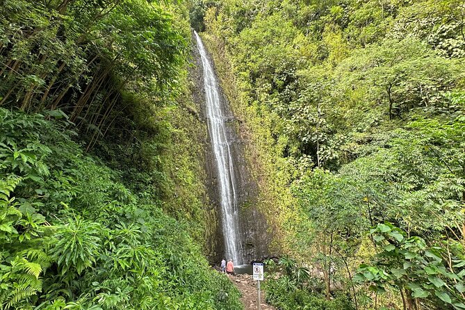 Manoa Falls-Electric Bike to Hike Experience Local meal included - Overview of the Tour Experience