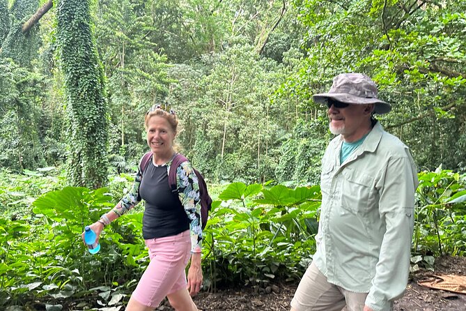 Manoa Falls-Electric Bike to Hike Experience Local meal included - Practical Considerations & Value