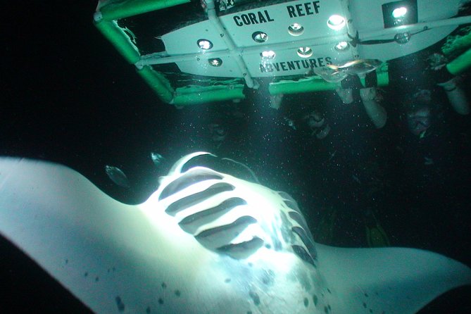 Manta Mania - Manta Ray Night Snorkel - Small-Group Experience In Kona, Hawaii - The Journey: Out on the Water in the Dark