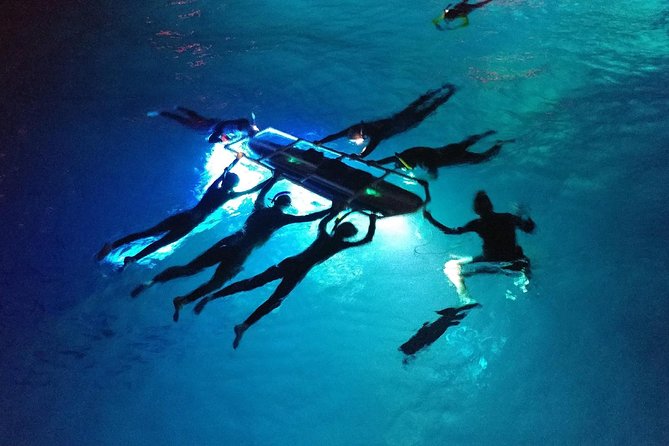 Manta Mania - Manta Ray Night Snorkel - Small-Group Experience In Kona, Hawaii - Authentic Experiences from Reviewers
