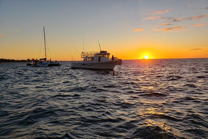 Manta Ray Night Snorkel in Kona - Meeting Point and Logistics