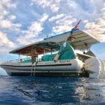 Manta Ray Snorkel Experience - What Do Visitors Say?