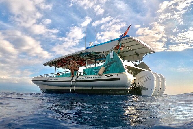 Manta Ray Snorkel Experience - What Do Visitors Say?