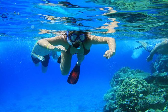 Manta Ray Snorkel Experience - Who Will Love This Tour?