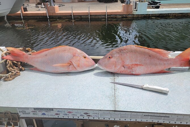 Marathon Florida Keys Fishing Experience - Key Points