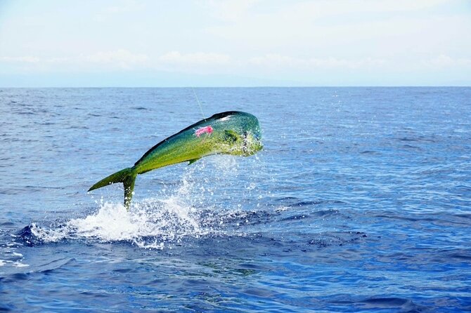 Marathon Florida Keys Fishing Experience Big Game - Key Points