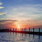 Marathon Inshore Fishing Charter - Deep Dive into the Itinerary