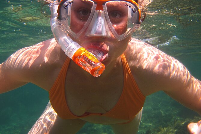 Marathon Key: 3-hour Snorkeling adventure on a Pontoon at Sombrero Reef - FAQ