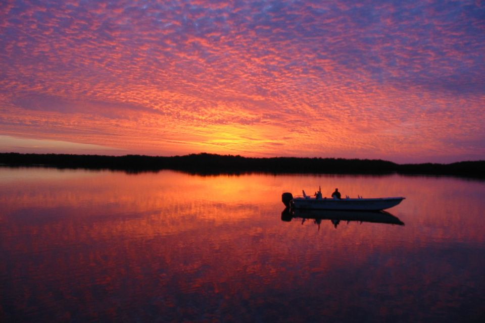 Marco Island: 2-Hour Dolphin, Birding, and Shelling Tour - FAQs