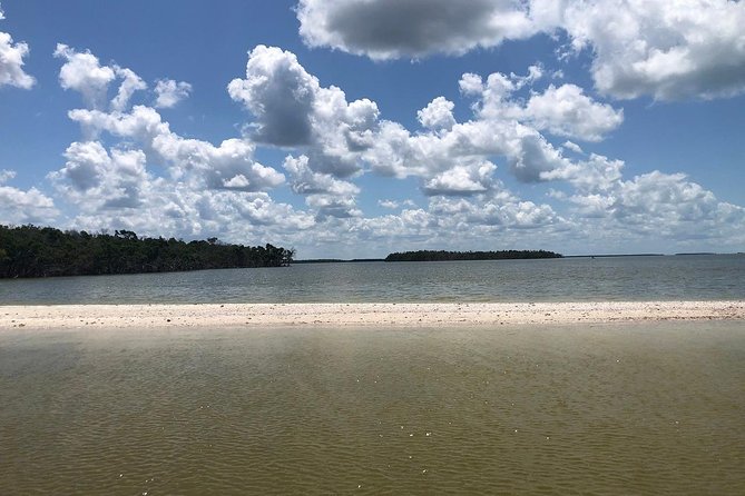 Marco Island 2 hour Dolphin, Birding and Shelling tour - What Makes This Tour Stand Out