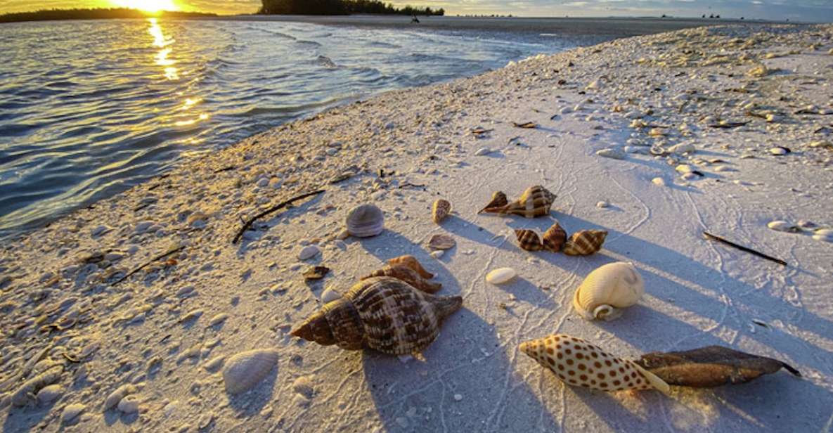 Marco Island: 2 Private Hour Sunset Boat Tour - The Practical Aspects