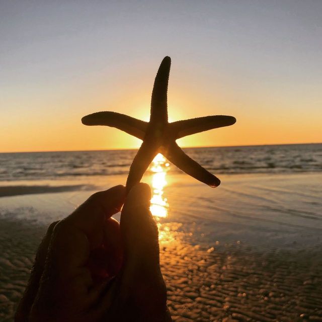 Marco Island: 2 Private Hour Sunset Boat Tour - The Experience from Past Reviews