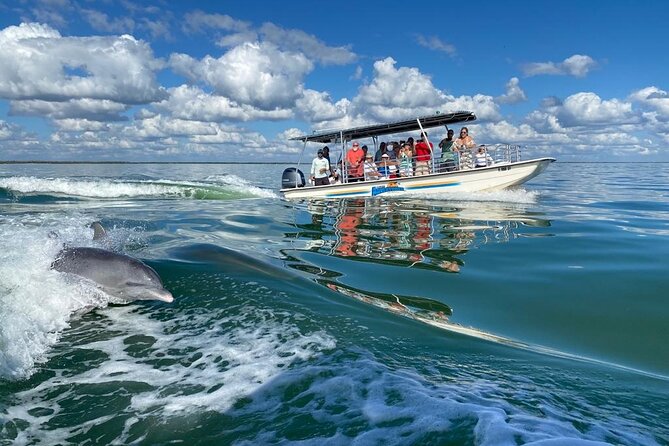 Marco Island Dolphin Sightseeing Tour - Guides and Their Impact