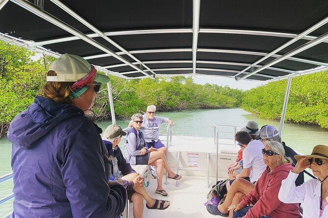 Marco Island Dolphin Sightseeing Tour - The Value for Money