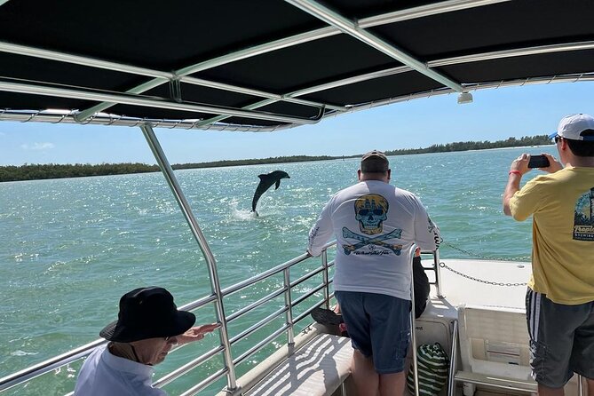Marco Island Dolphin Sightseeing Tour - Why This Tour Works