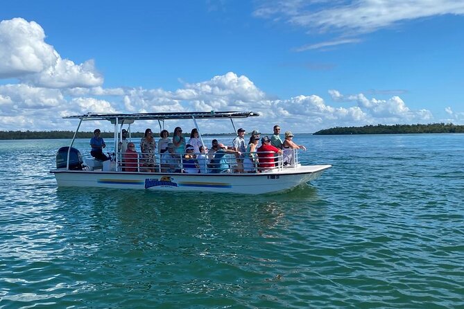 Marco Island Dolphin Sightseeing Tour - Final thoughts