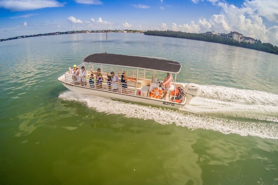 Marco Island: Dolphin-Watching Boat Tour - A Closer Look at the Experience