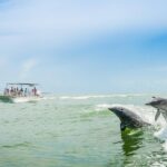 Marco Island: Dolphin-Watching Boat Tour - FAQs