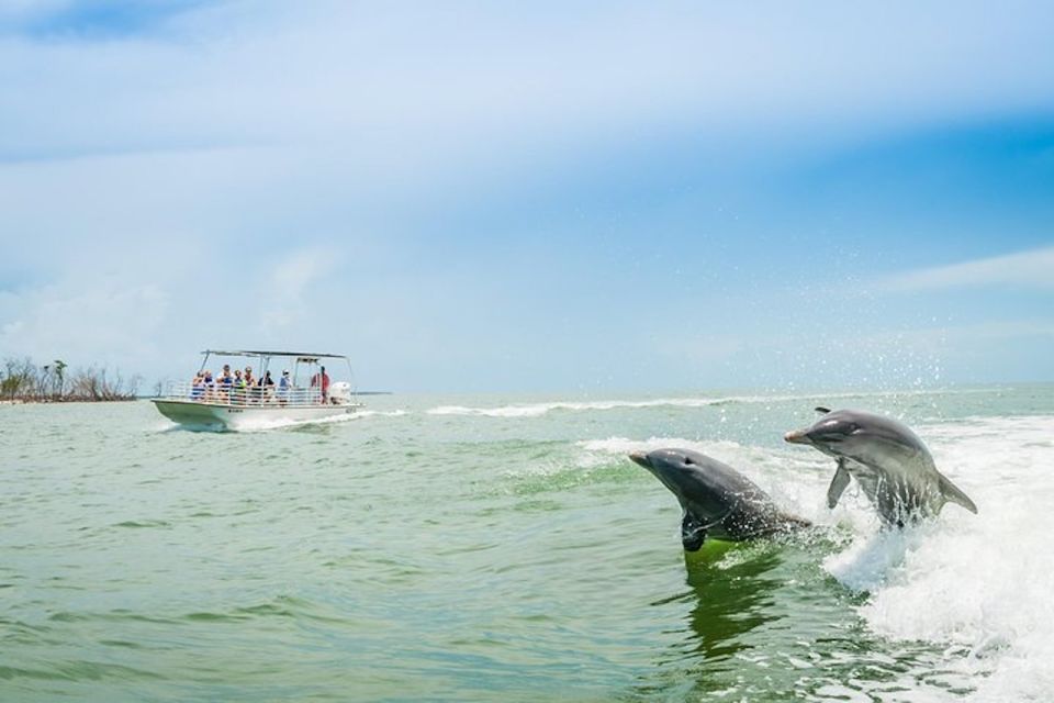 Marco Island: Dolphin-Watching Boat Tour - FAQs