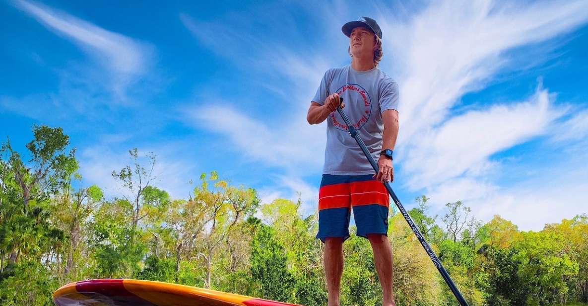 Marco Island: Guided Manatee-Watching Kayaking or SUP Tour - Wildlife Encounters and Scenic Highlights