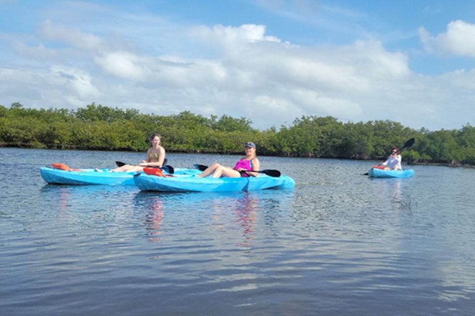 Marco Island: Guided Manatee-Watching Kayaking or SUP Tour - Who Will Love This Tour?
